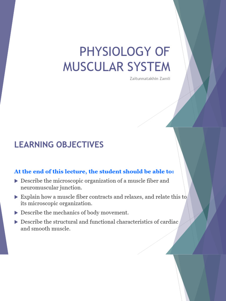 Muscle Physiology for Students | PDF | Science & Mathematics