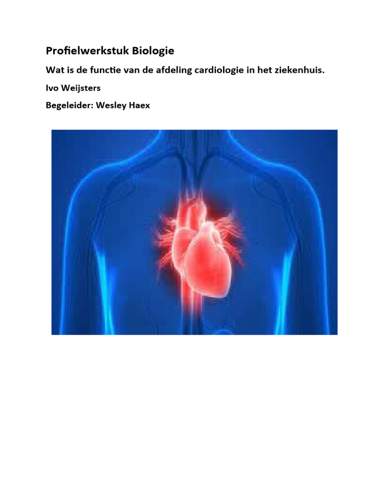 Profielwerkstuk | PDF
