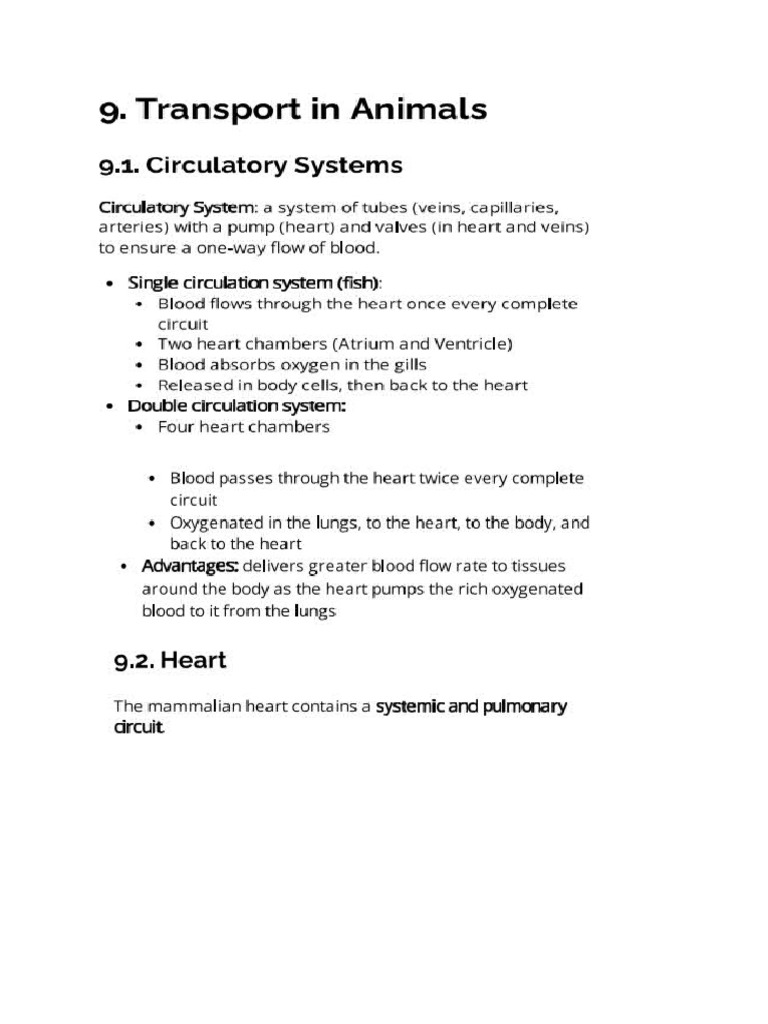 Notes on Transport in animals | PDF