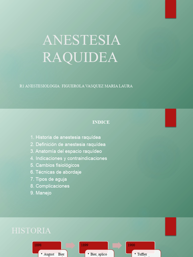 Guía Completa sobre Anestesia Raquídea | PDF | Anatomía humana | Medicina
