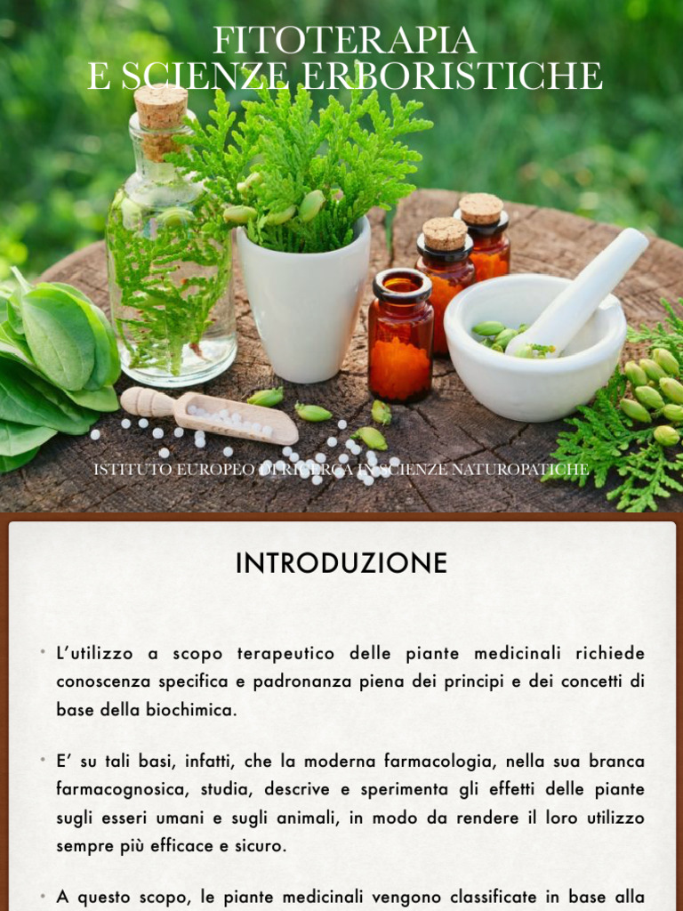 Fitoterapia SEF | PDF