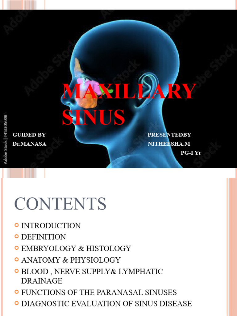 Maxillary Sinus | PDF | Medicine | Diseases And Disorders