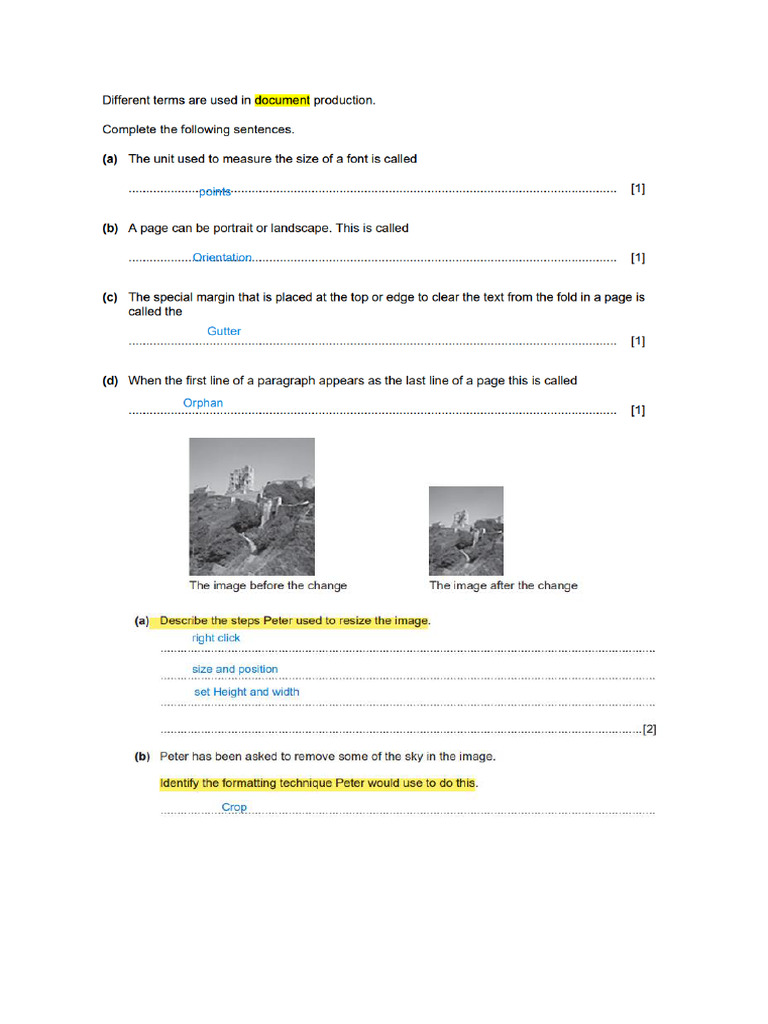 Examples of Practical - Theory Questions | PDF