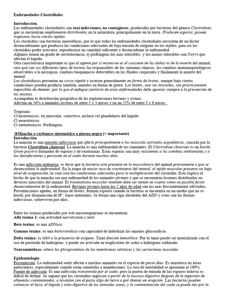 Enfermedades Clostridiales en Rumiantes | PDF | Infección | Inflamación
