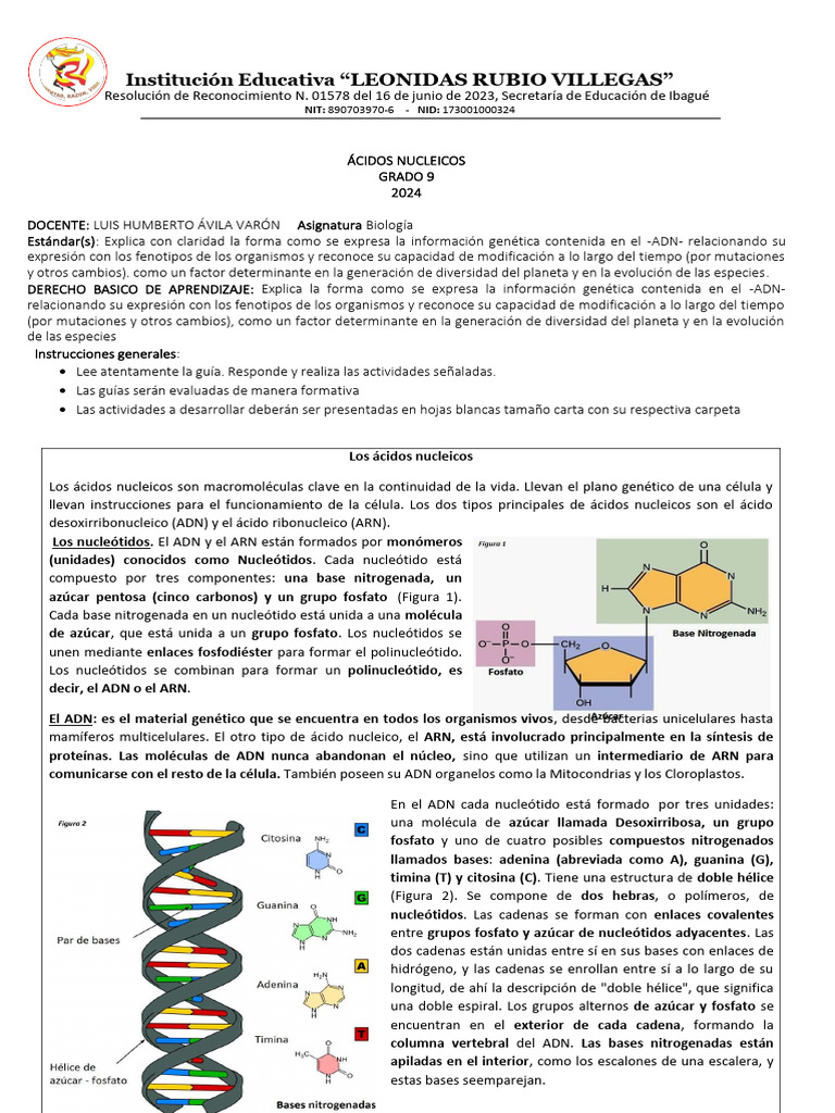 Guia ADN y ARN | PDF