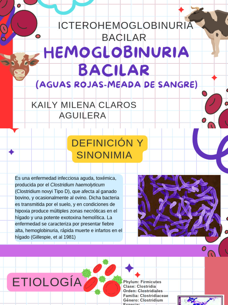 Hemoglobinuria Bacilar | PDF | Infección | Las bacterias