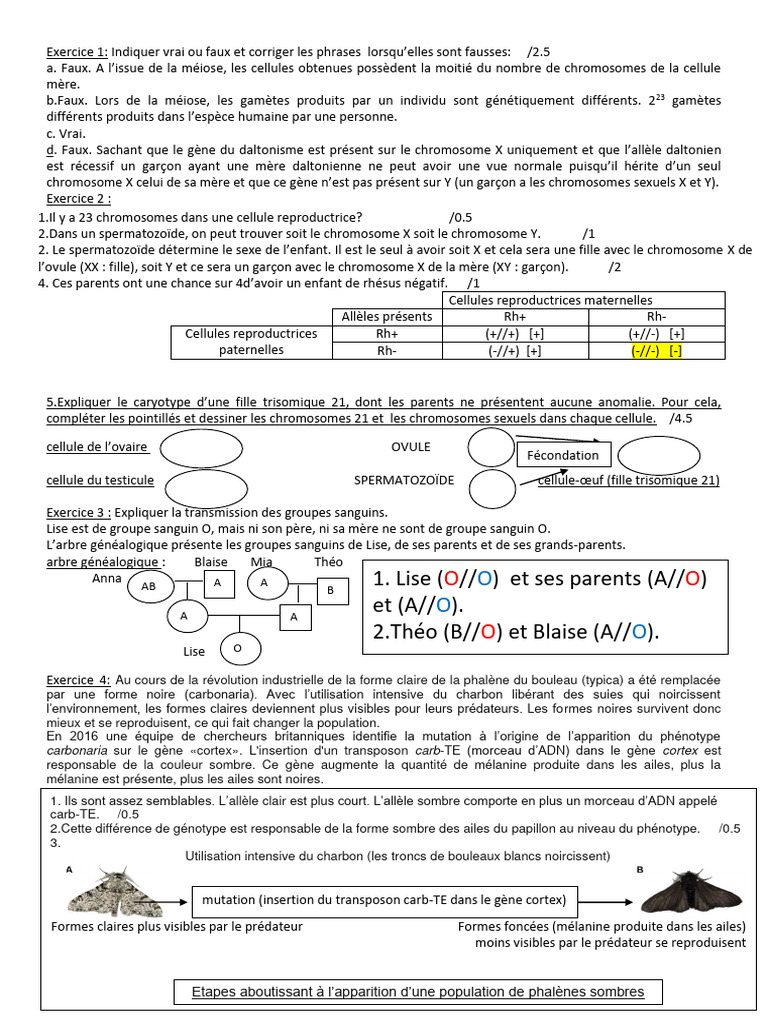 Correction Chapitre 4 | PDF