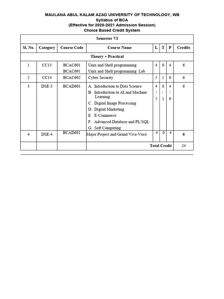 BCA 6th Semester Syllabus | PDF | Security | Cyberwarfare