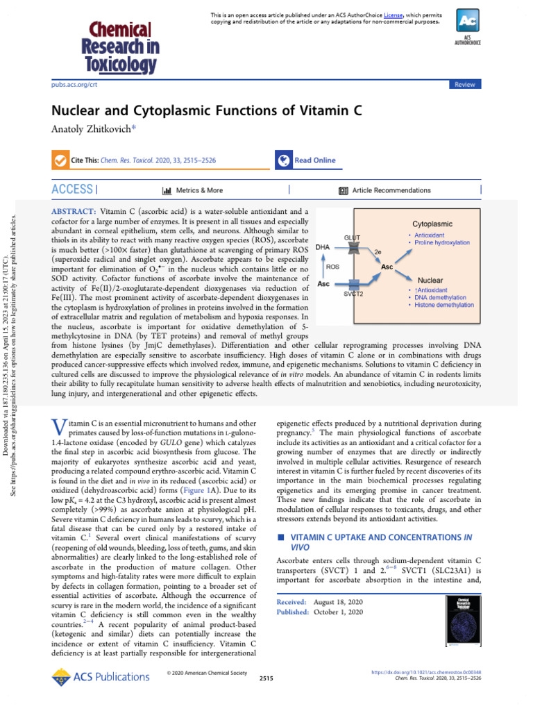 Nuclear and Cytoplasmic Functions of Vitamin C | PDF | Reactive Oxygen Species | Antioxidant