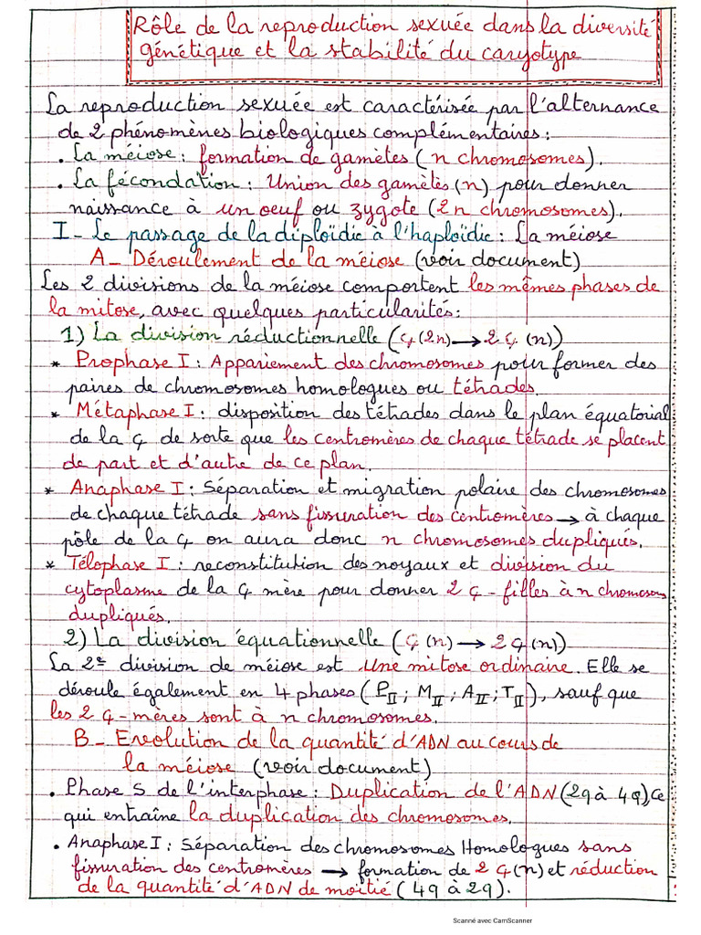 Méiose - Résumé | PDF