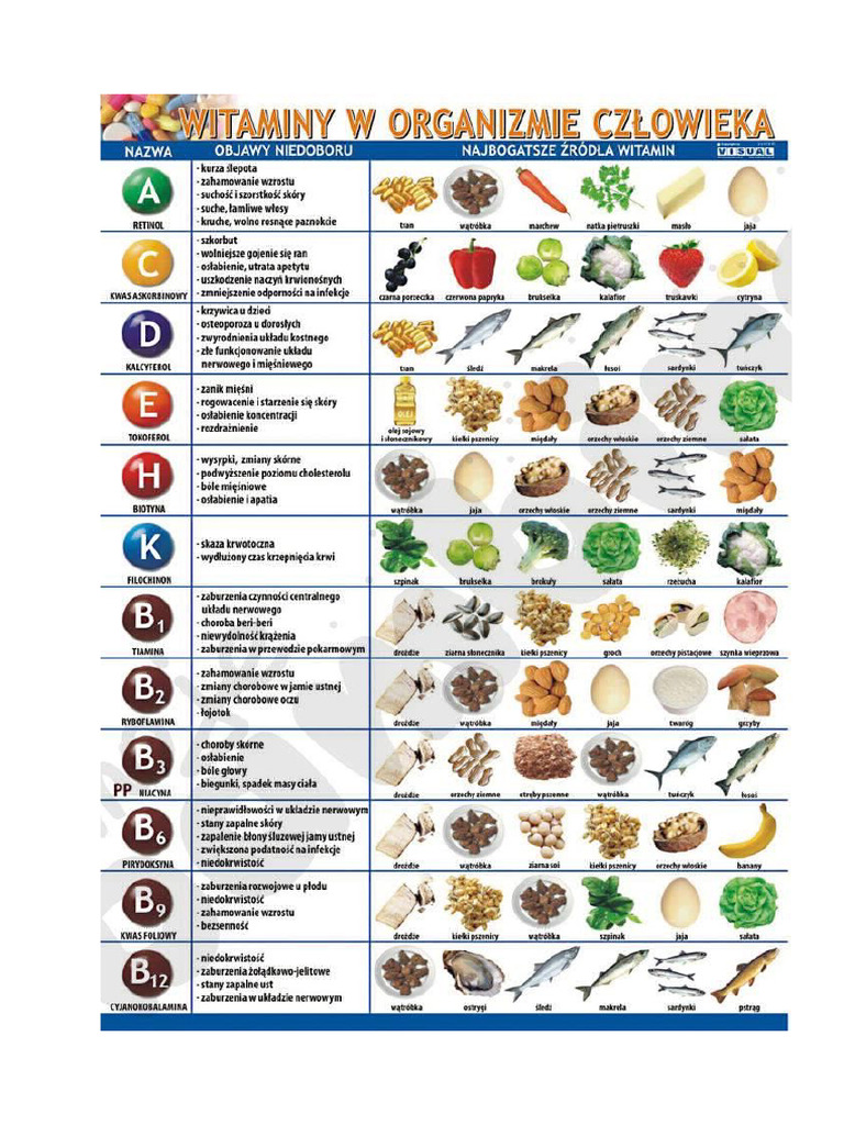 Plansza Witaminy | PDF