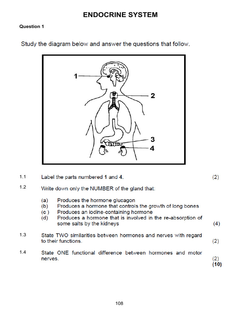Composite 2020 Step Ahead Document - Questions KZN 2 | PDF