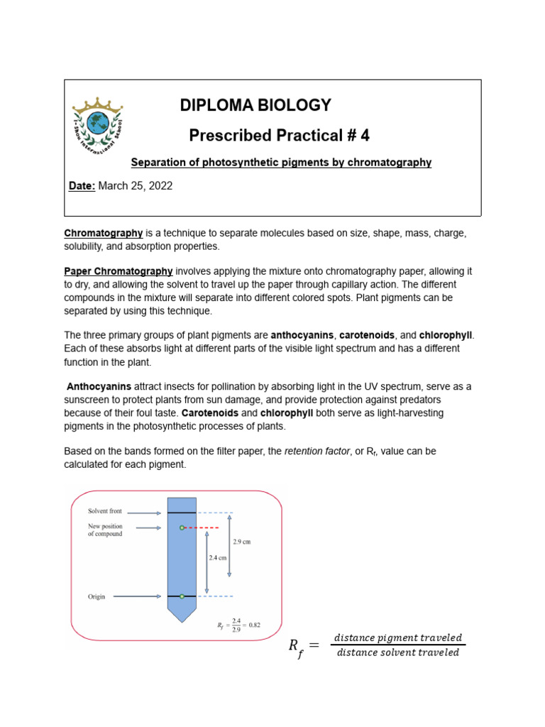 Owen_2.9 Chromatography Lab (Practical #4) | PDF | Chromatography | Photosynthesis
