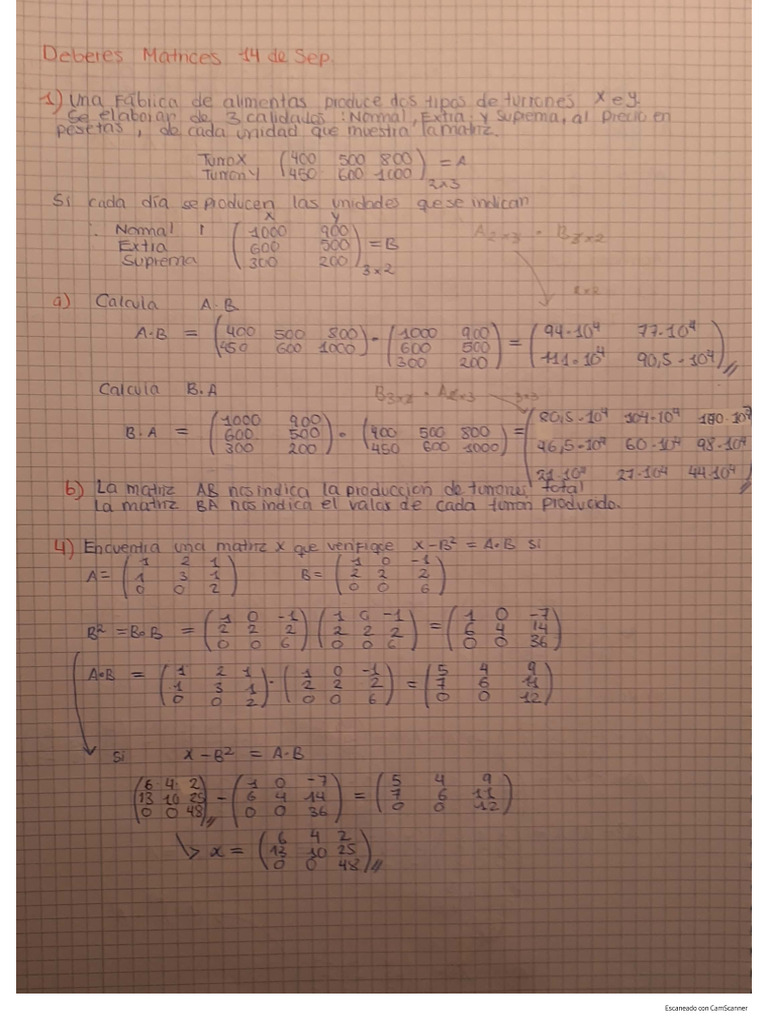Matrices 1 - Deberes | PDF