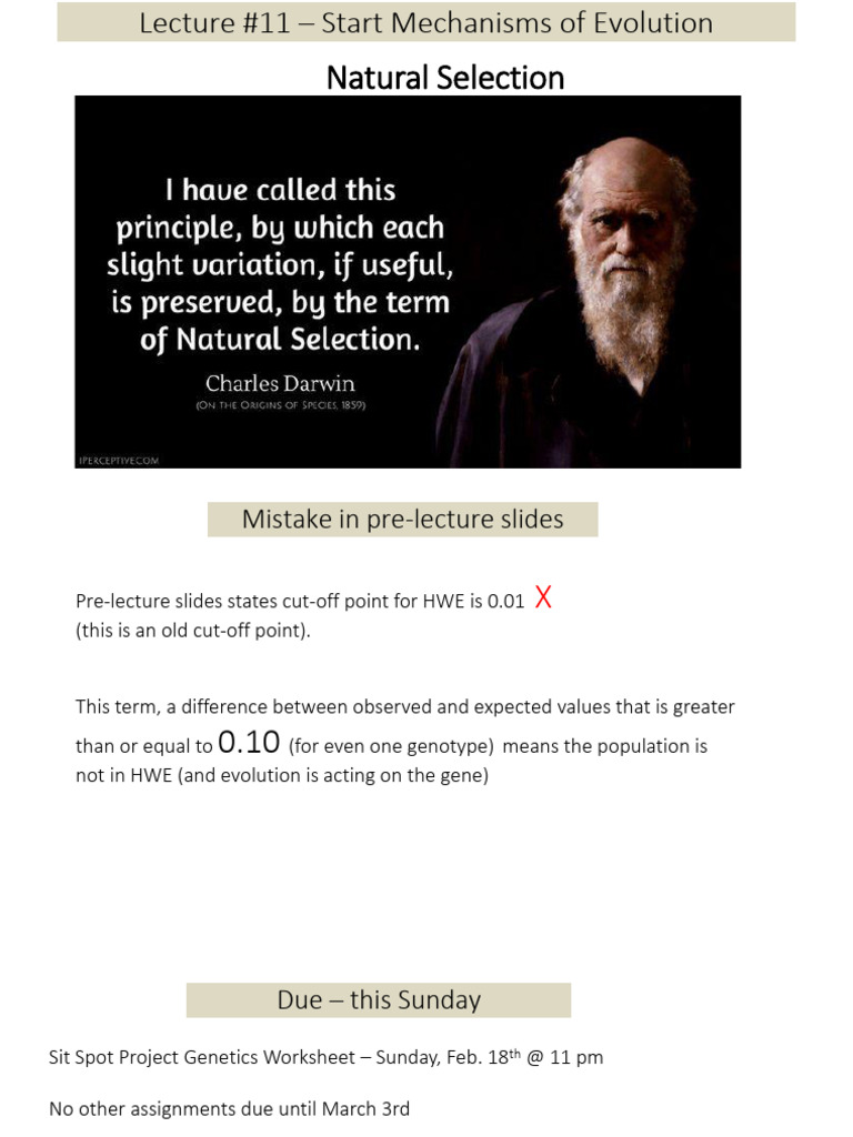 Lecture 11 Hwe Question Natural Selection Part I Pdf Evolution