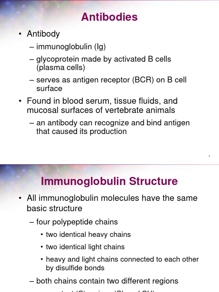 Immuno 4 | PDF | Antibody | Immune System