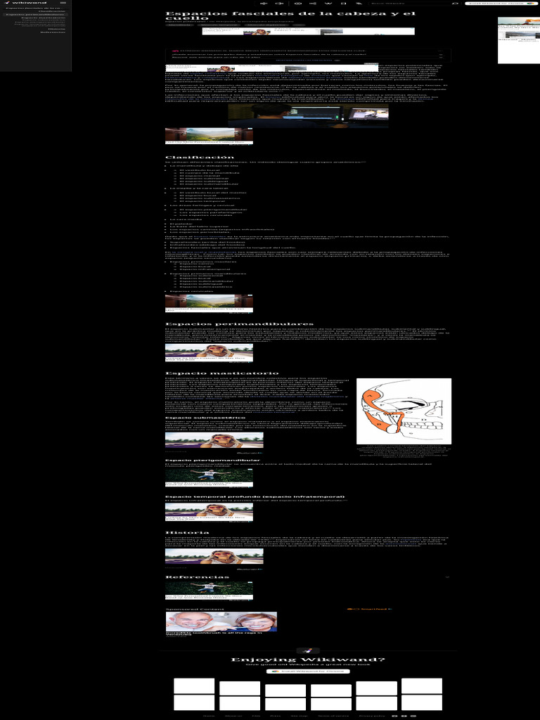 Espacios Fasciales de La Cabeza y El Cuello - Wikiwand | PDF | Cabeza y cuello humanos ...