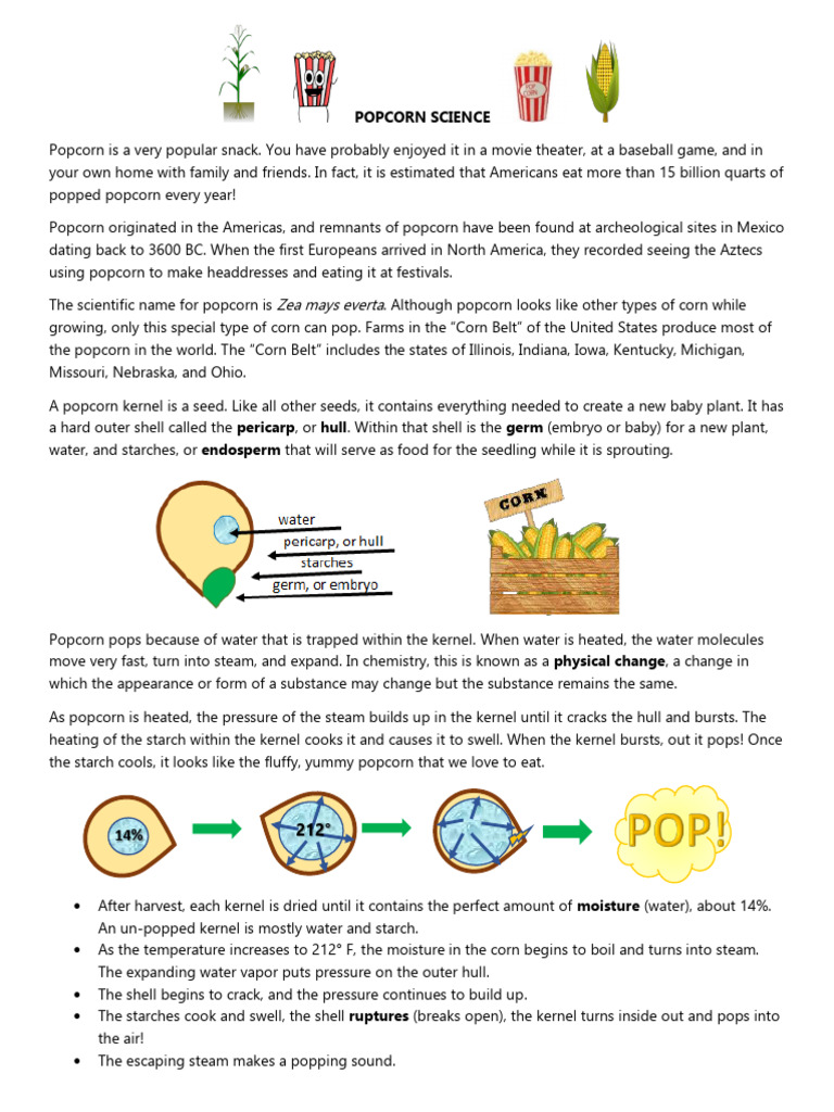 Popcorn 202444 | PDF