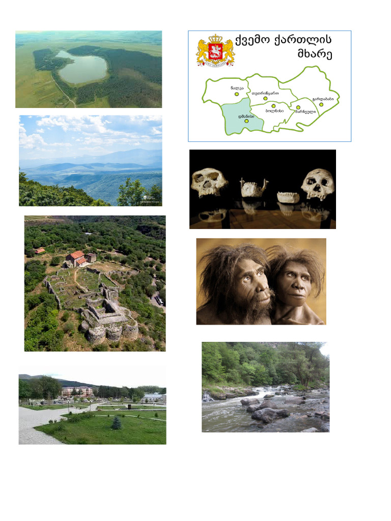 Dmanisi | PDF