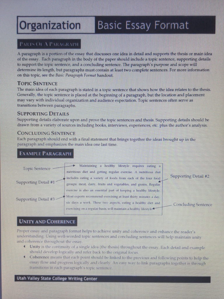 Basic Essay Format | PDF