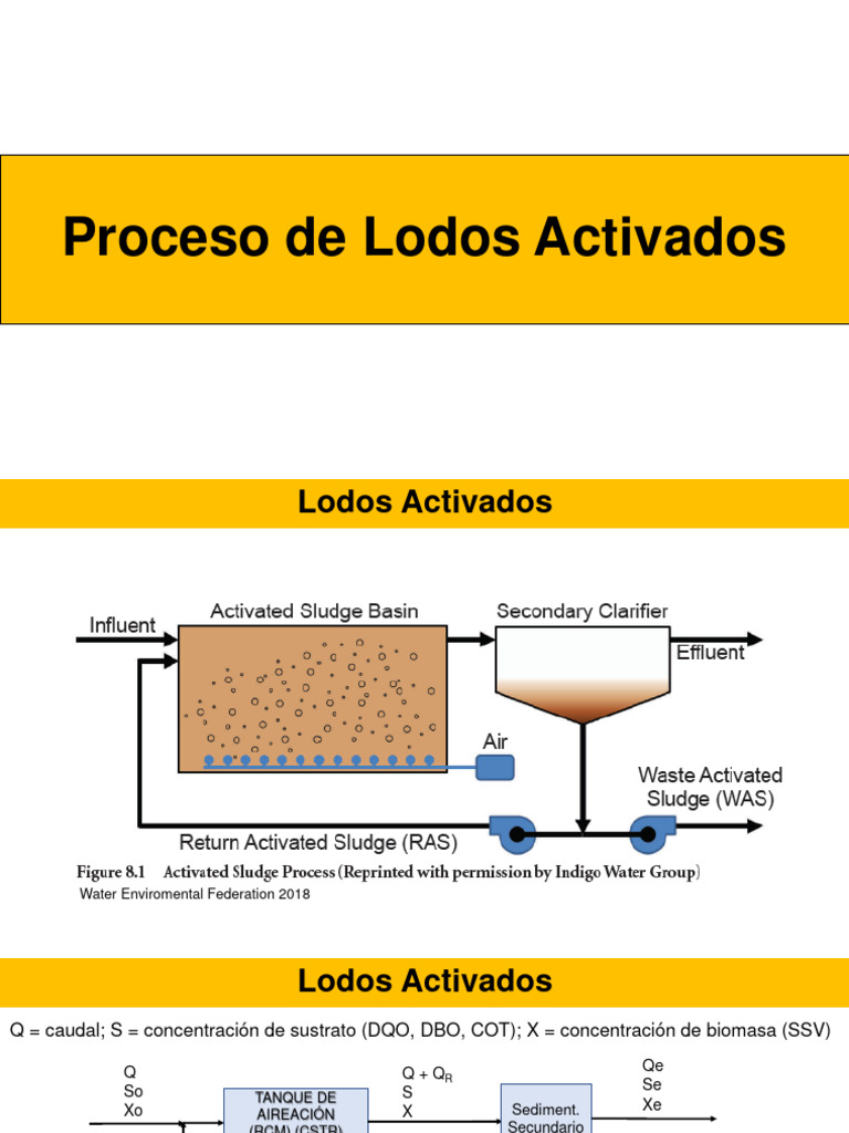 Lodos Activados | PDF | Reactor Quimico | Ingeniería de Procesos