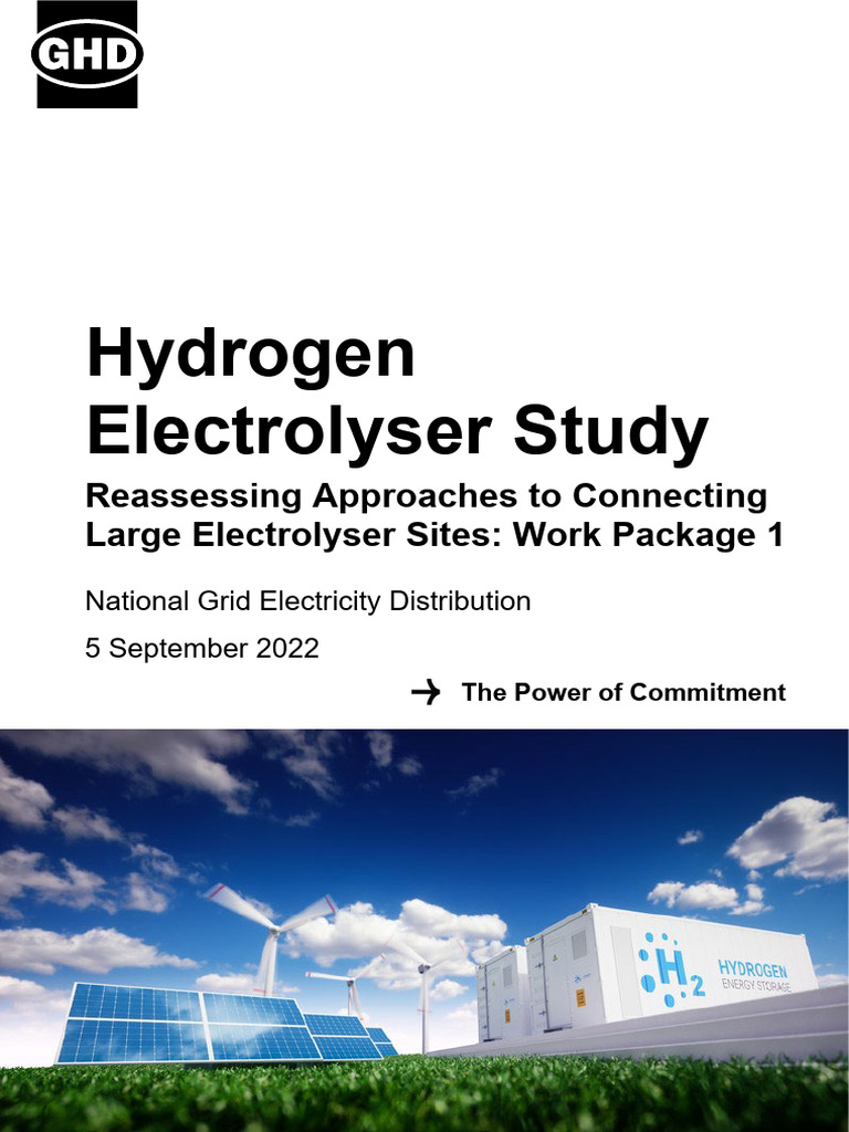 Hydrogen Electrolyser Study WP1 Report Final | PDF | Energy Storage | Electrical Grid