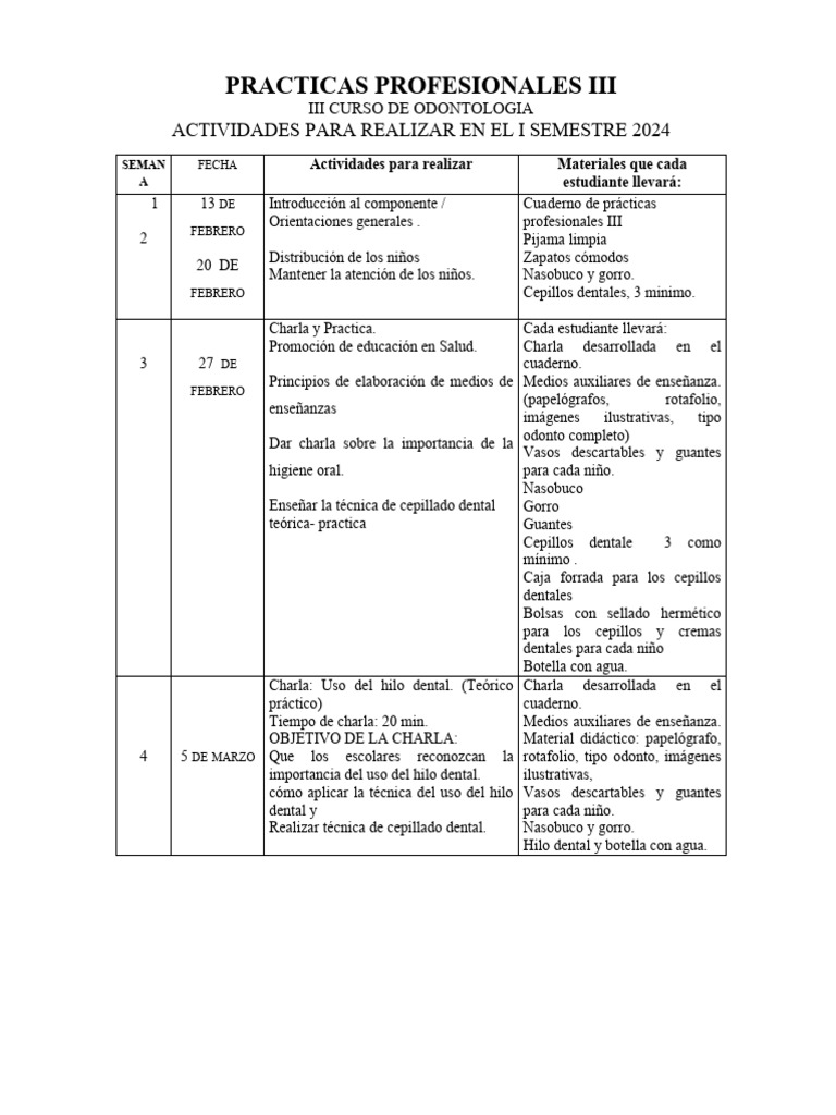 Plan de Actividades de Practicas Profesionales I | Descargar gratis PDF ...