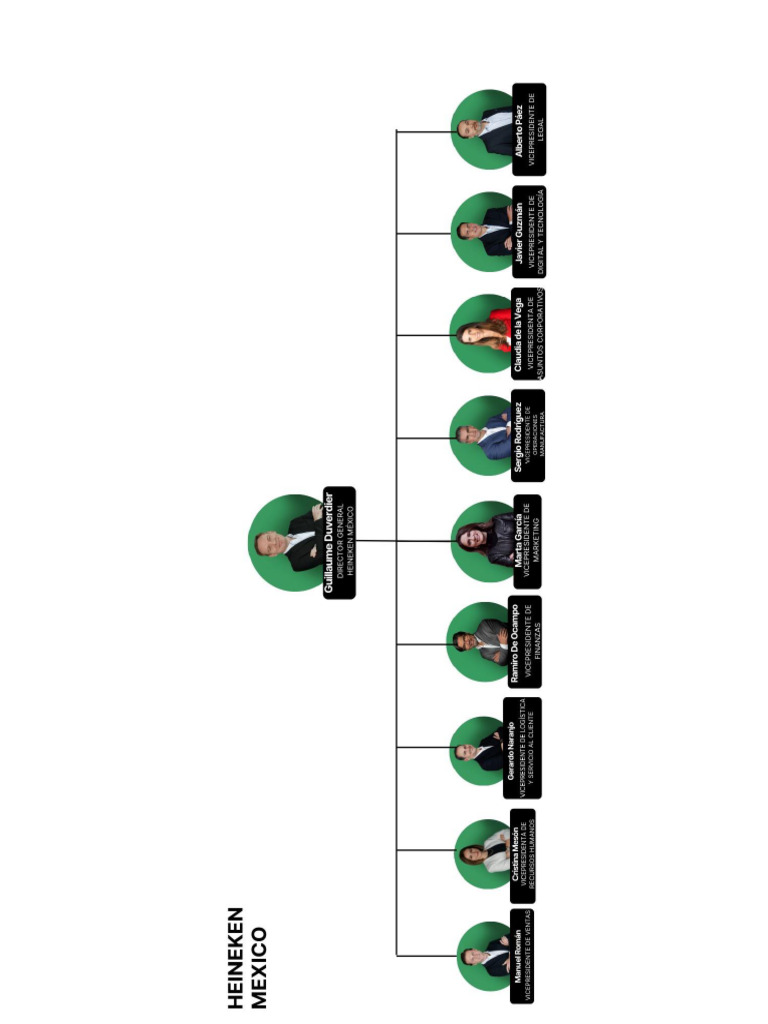 Heineken Organigrama | PDF