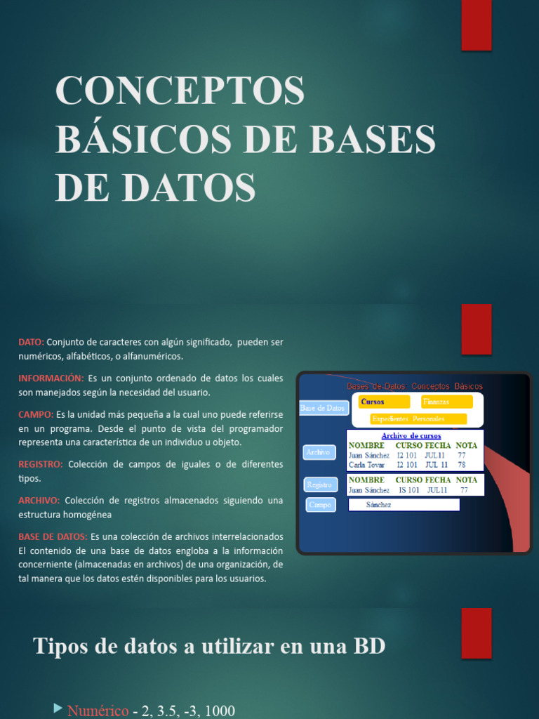 Conceptos Básicos de Bases de Datos | PDF