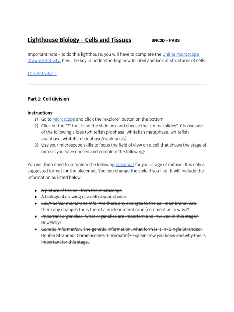 Bismi's Lighthouse Biology Cells and Tissues Assignment | PDF
