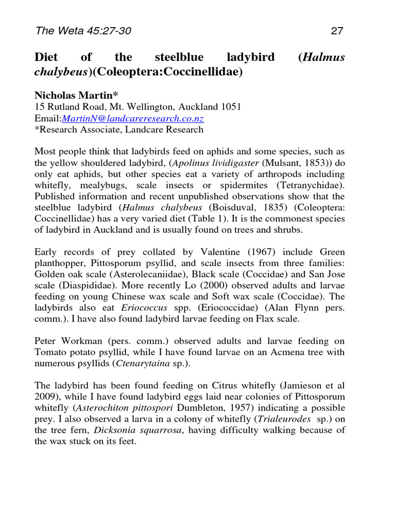 Chalybeus) (Coleoptera:Coccinellidae) : Diet of The Steelblue Ladybird ...