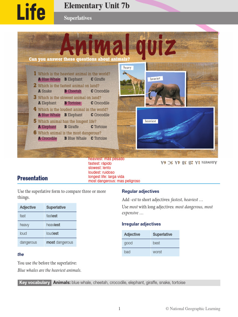 Elementary GW 07b | PDF