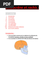 Anatomie et Fractures du Rocher | PDF | Tête et cou chez l'humain ...