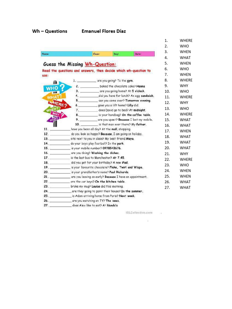 WH Questions Explained | PDF