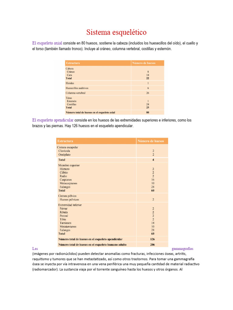 Sistema Esquelético Pdf Hueso Articulación