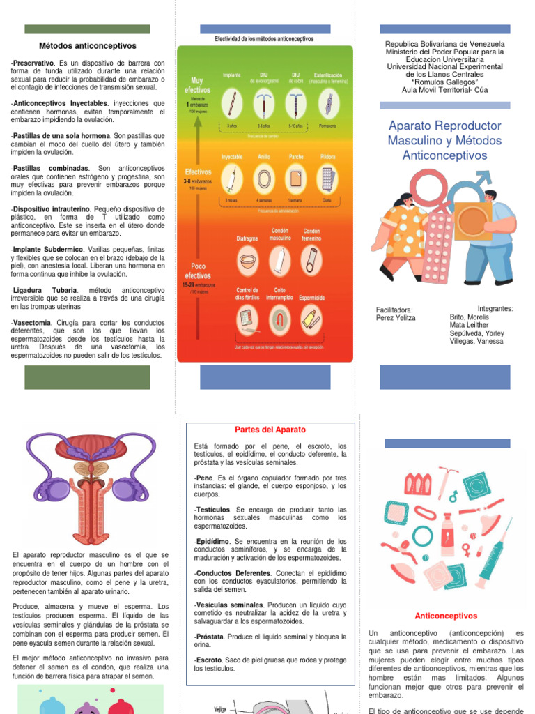 Triptico Aparato Reproductor Masculino y Metodos Anticonceptivos | PDF | Semen | Control de la ...
