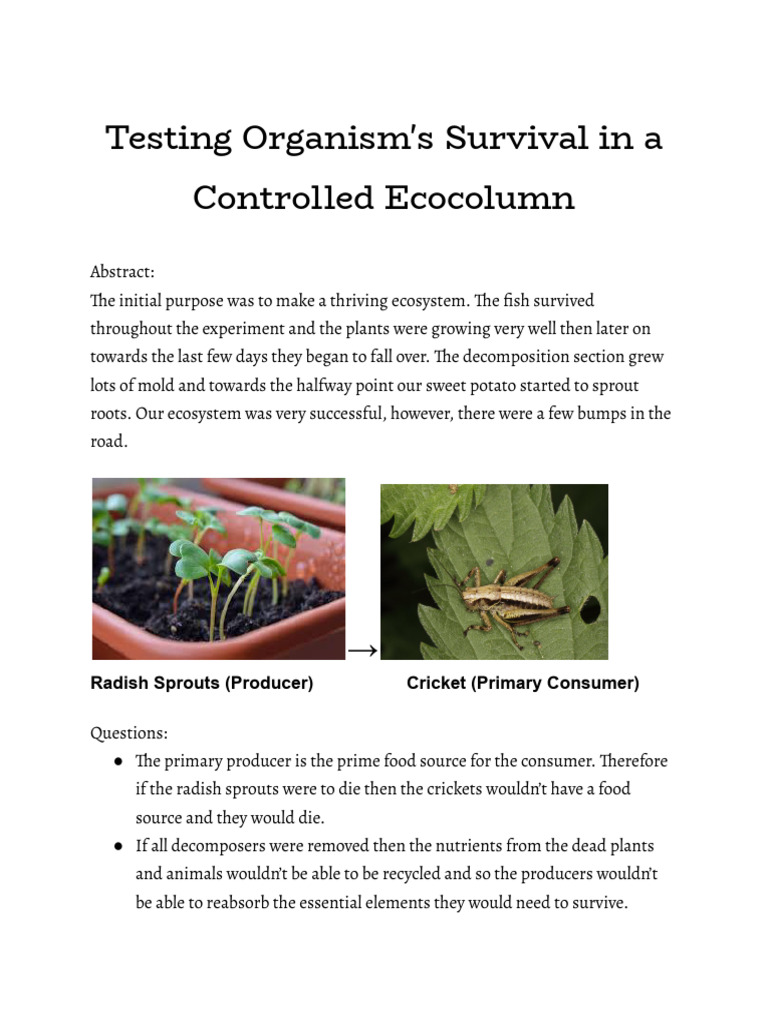 Ecocolumn Project PDF | PDF
