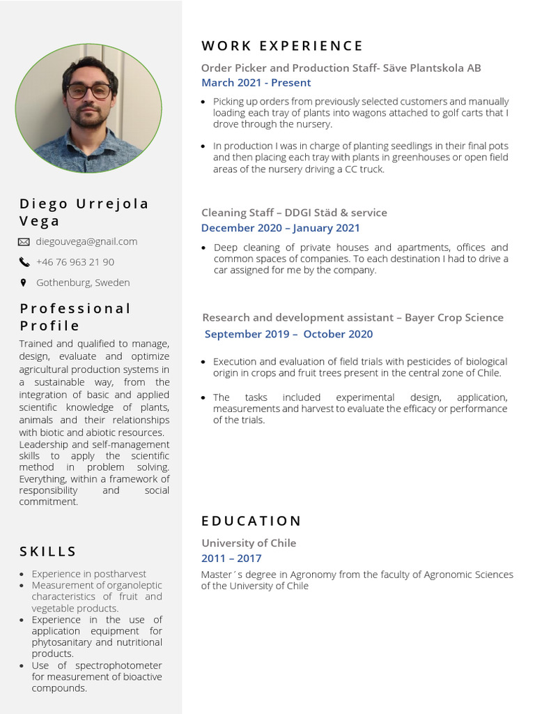 144 Curriculum Vitae en Ingles | PDF