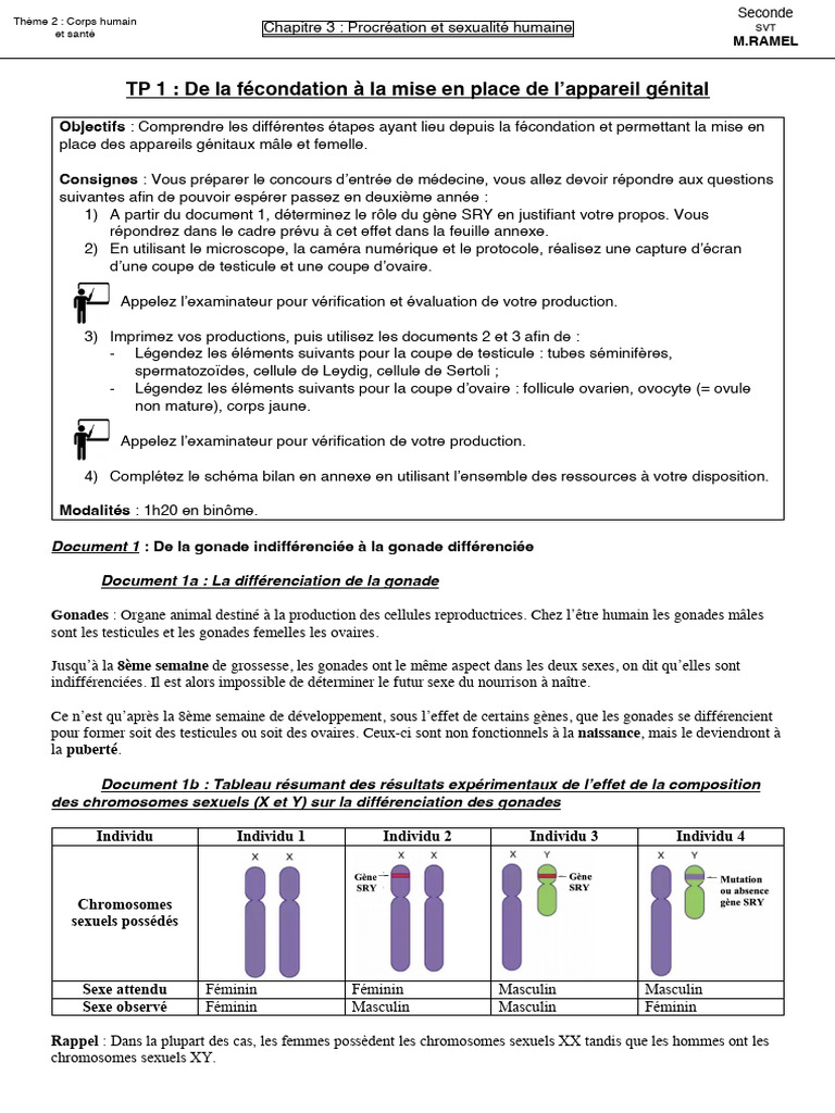 2nd - Chp3 - TP1 (Correction) | PDF | Sexe | Utérus