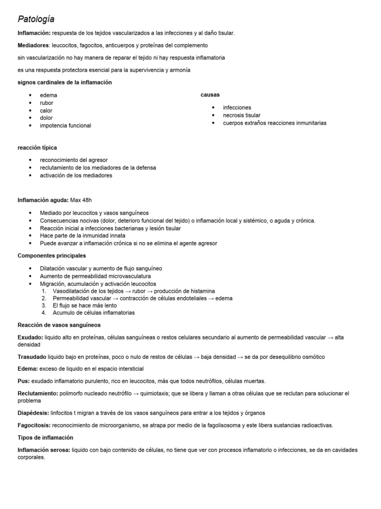 Patolo | PDF | Inflamación | Epitelio