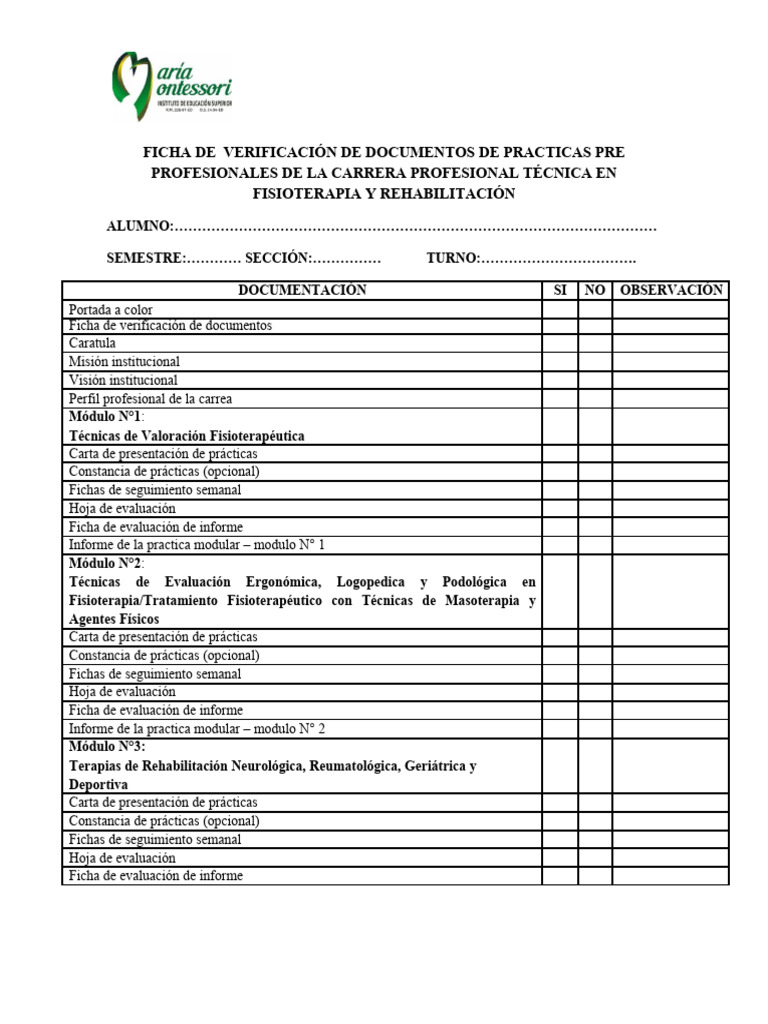 Formato de Practica Profesional Modular Fioterapia - 2023 - Actualizado | PDF