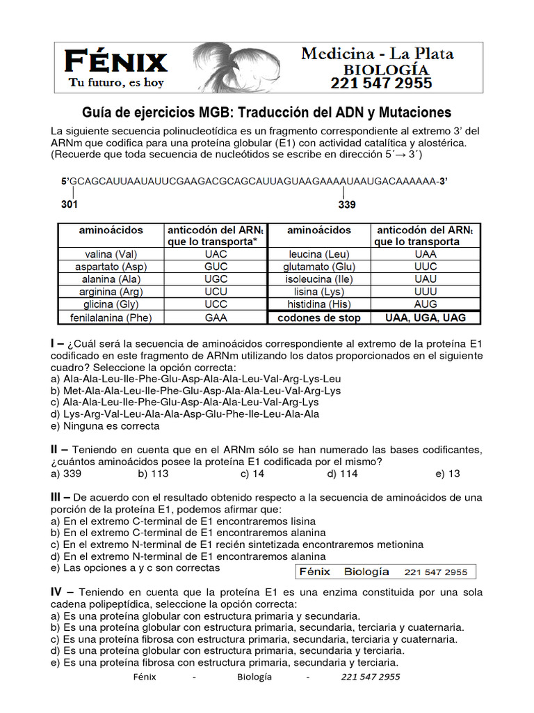 Fénix - Biología - Guía de Ejercicios MGB - Traduccion Del ADN y ...