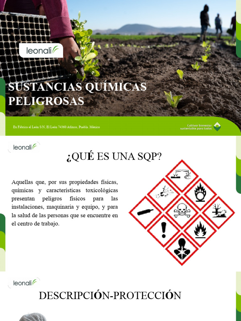 Sustancias Quimicas Peligrosas | PDF | Ciencia y matemáticas