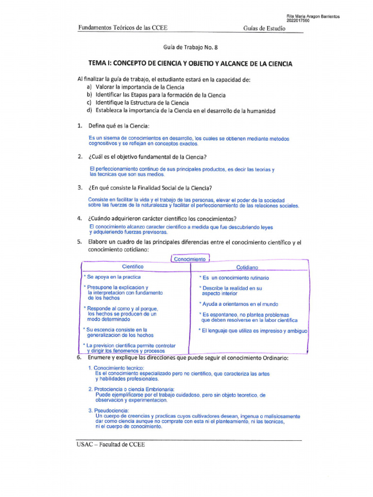 Guia No. 8 Fundamentos Teoricos CCEE | PDF