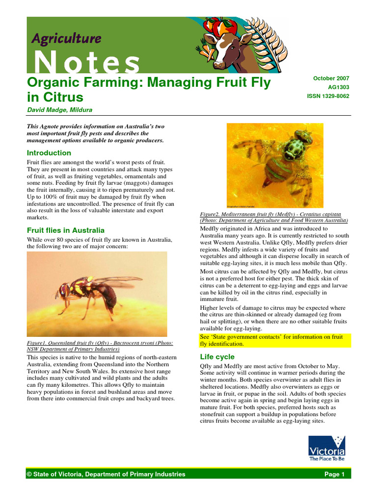Organic Farming Managing Fruit Fly in Citrus | PDF