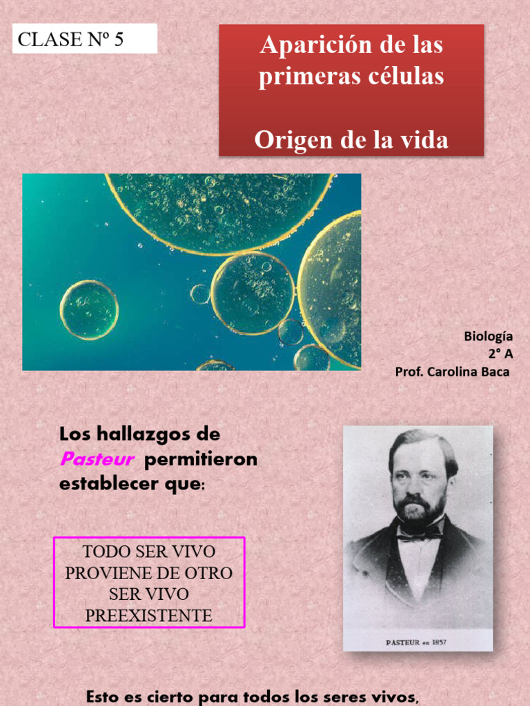 Clase Nº5 - Aparición de Las Primeras Células Origen de La Vida | PDF