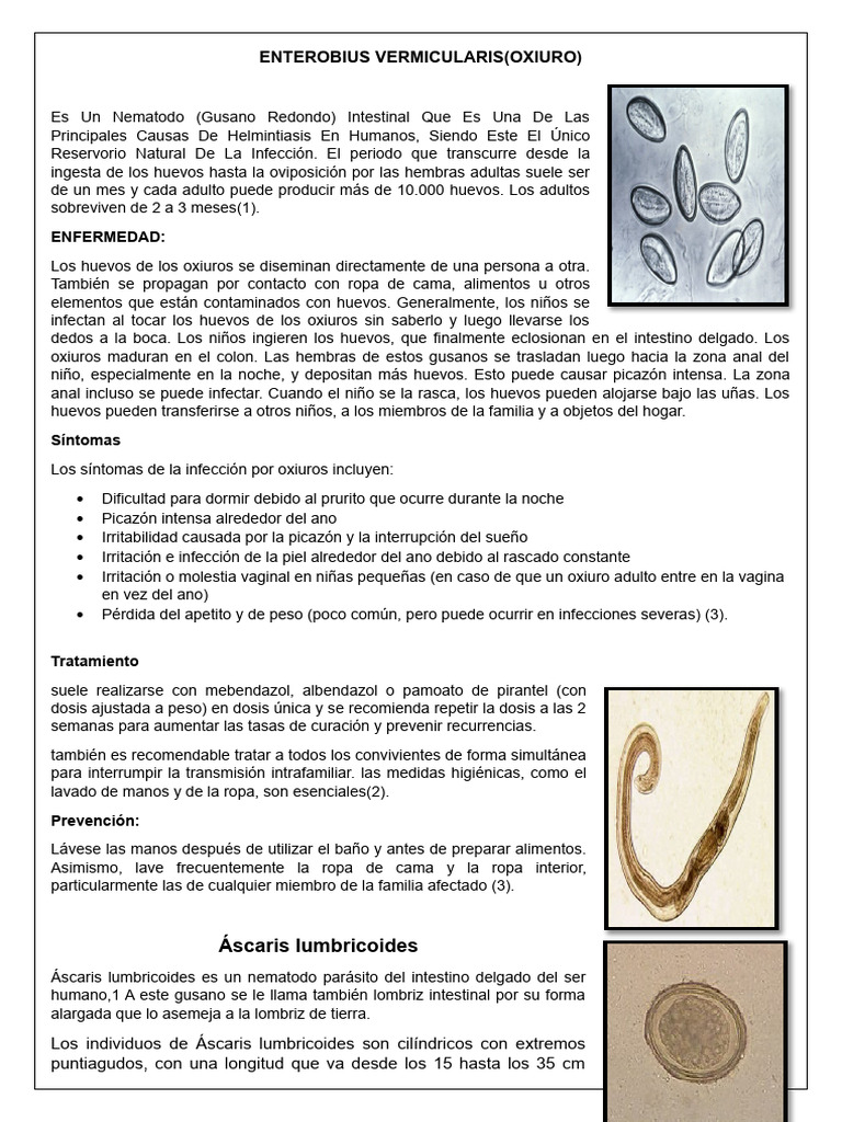 ENTEROBIUS VERMICULARIS | PDF | Medicina | Enfermedades y trastornos