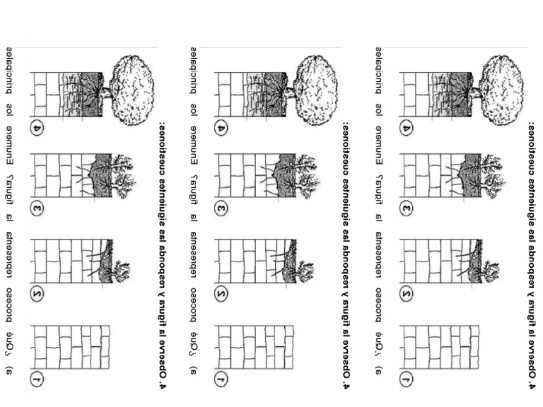 Act-Modulo Iii | PDF