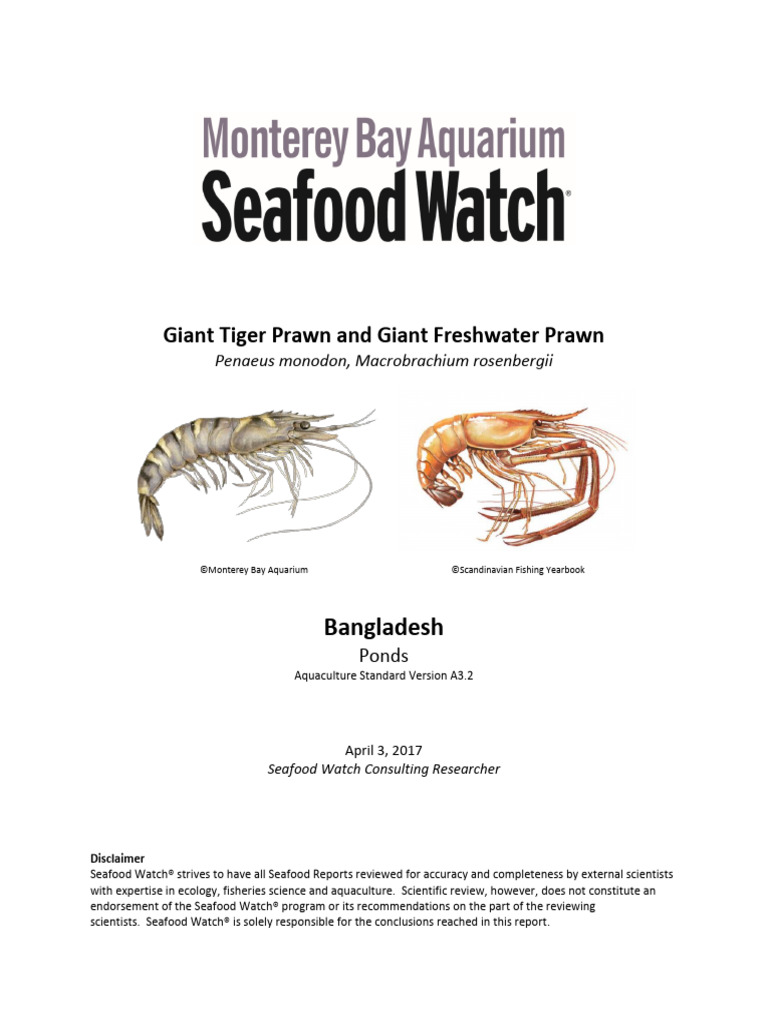 Bangladesh Farmed Giant Freshwater Prawn and Giant Tiger Prawn Seafood ...