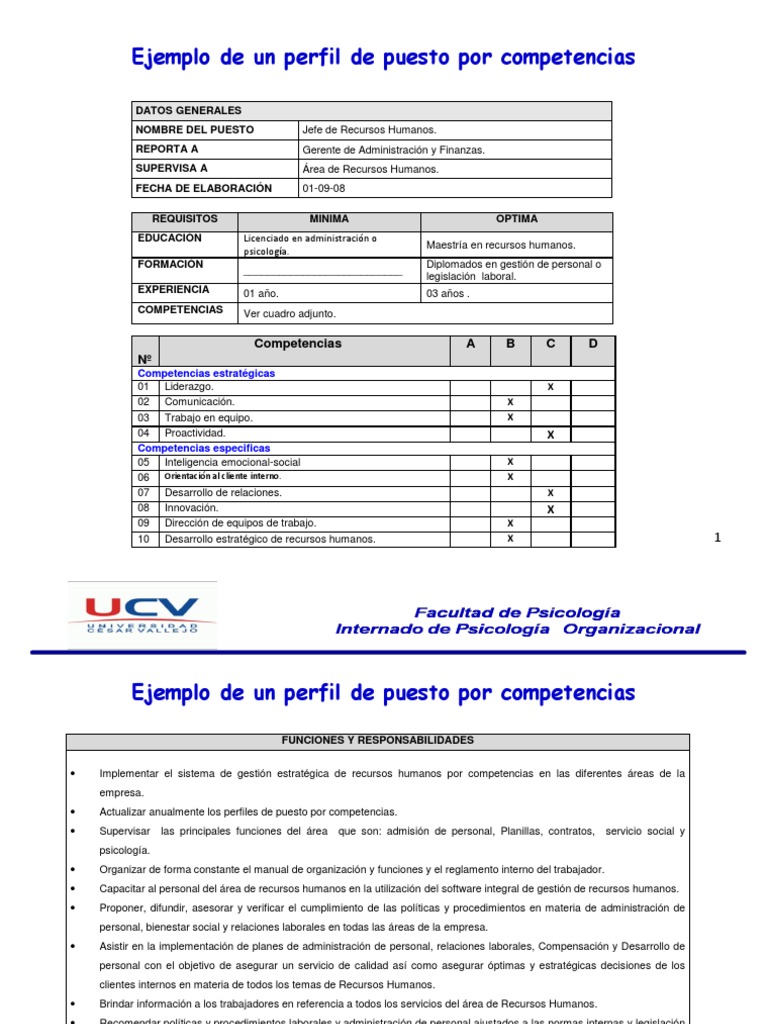 Ejemplo II Perfil Por Competencias | PDF | Gestión de recursos humanos | Derecho laboral